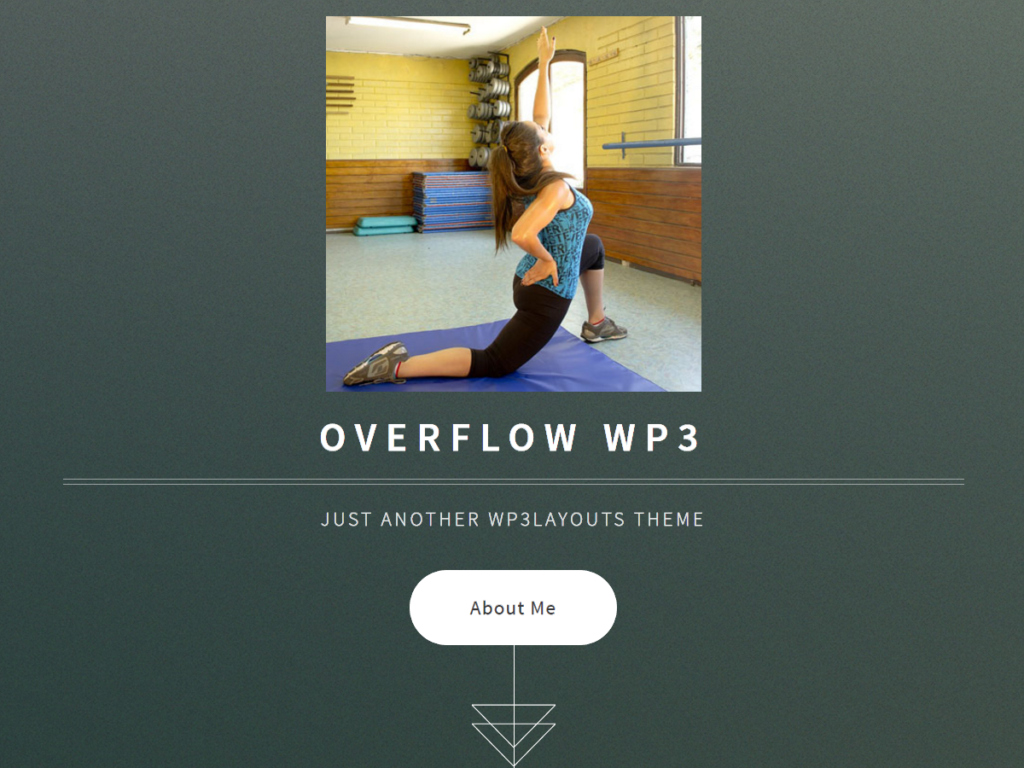 Overflow WP3: How to set up Overflow WordPress Theme in 3 Simple Steps ...